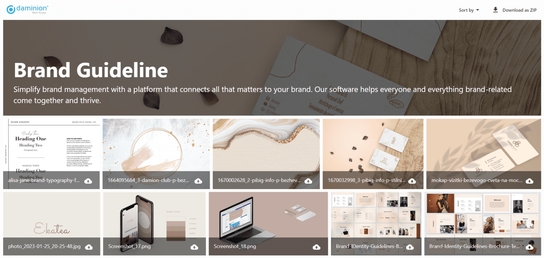Brand Guidelines: What They Are and How to Use Them