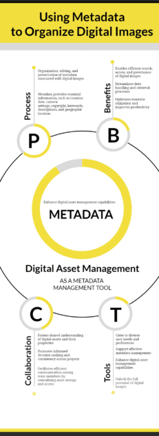 Master Image Metadata Management: Tools and Best Practices for Digital ...